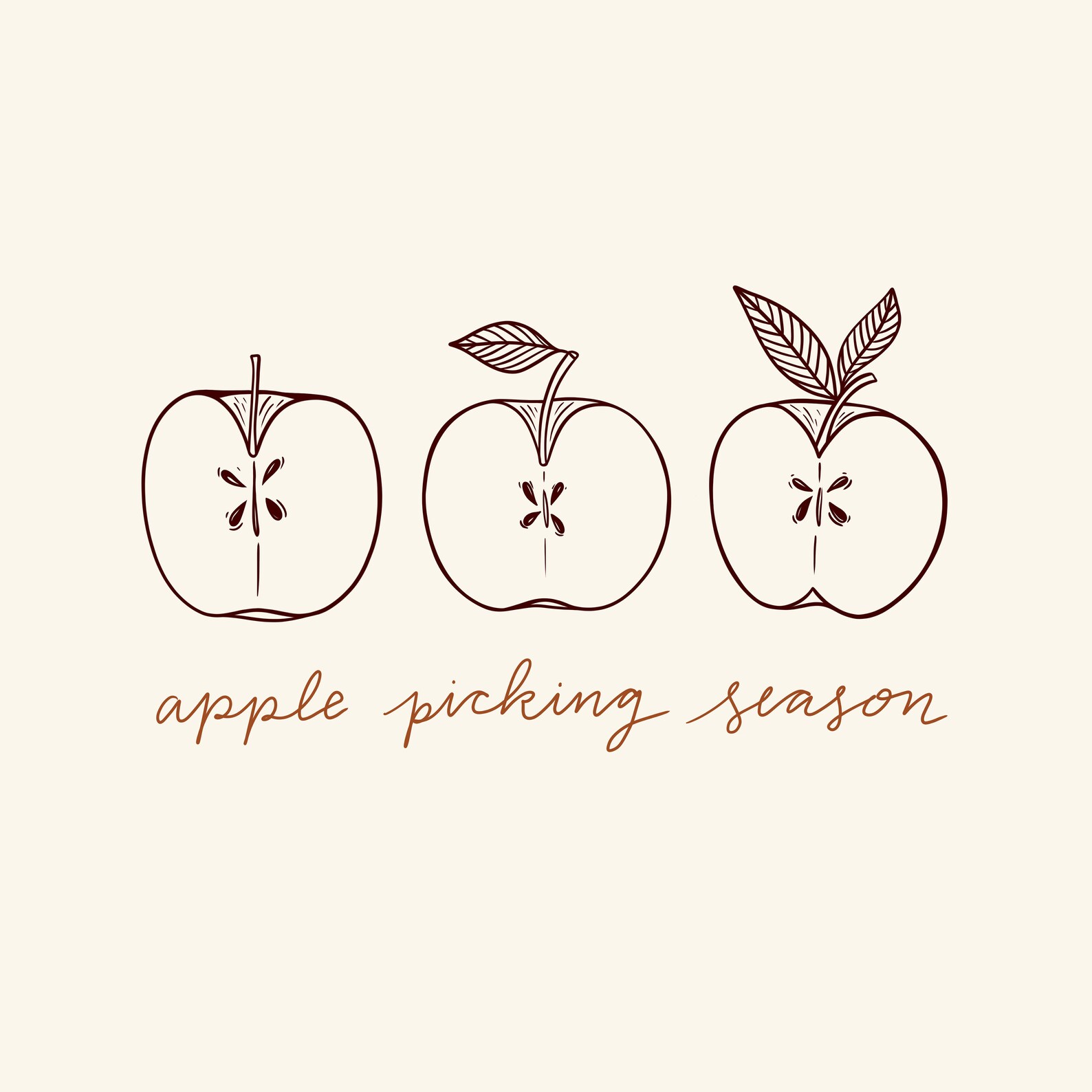 Autumn Illustrations Fall Harvest Line Drawings Clipart PNG Pumpkin ...
