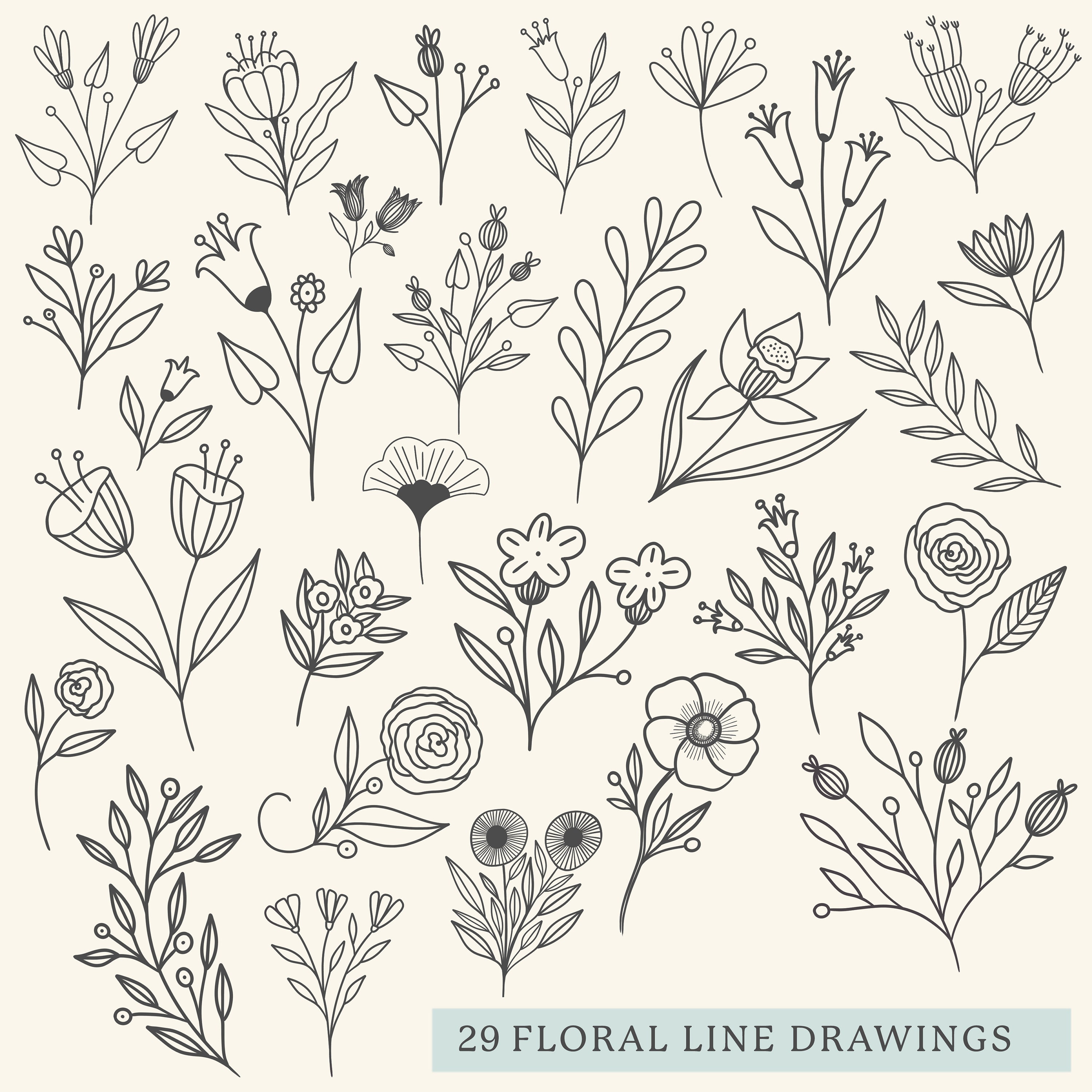 Flower Plant Line Art Botanical Clipart Hand Drawn Floral Leaves Leaf ...