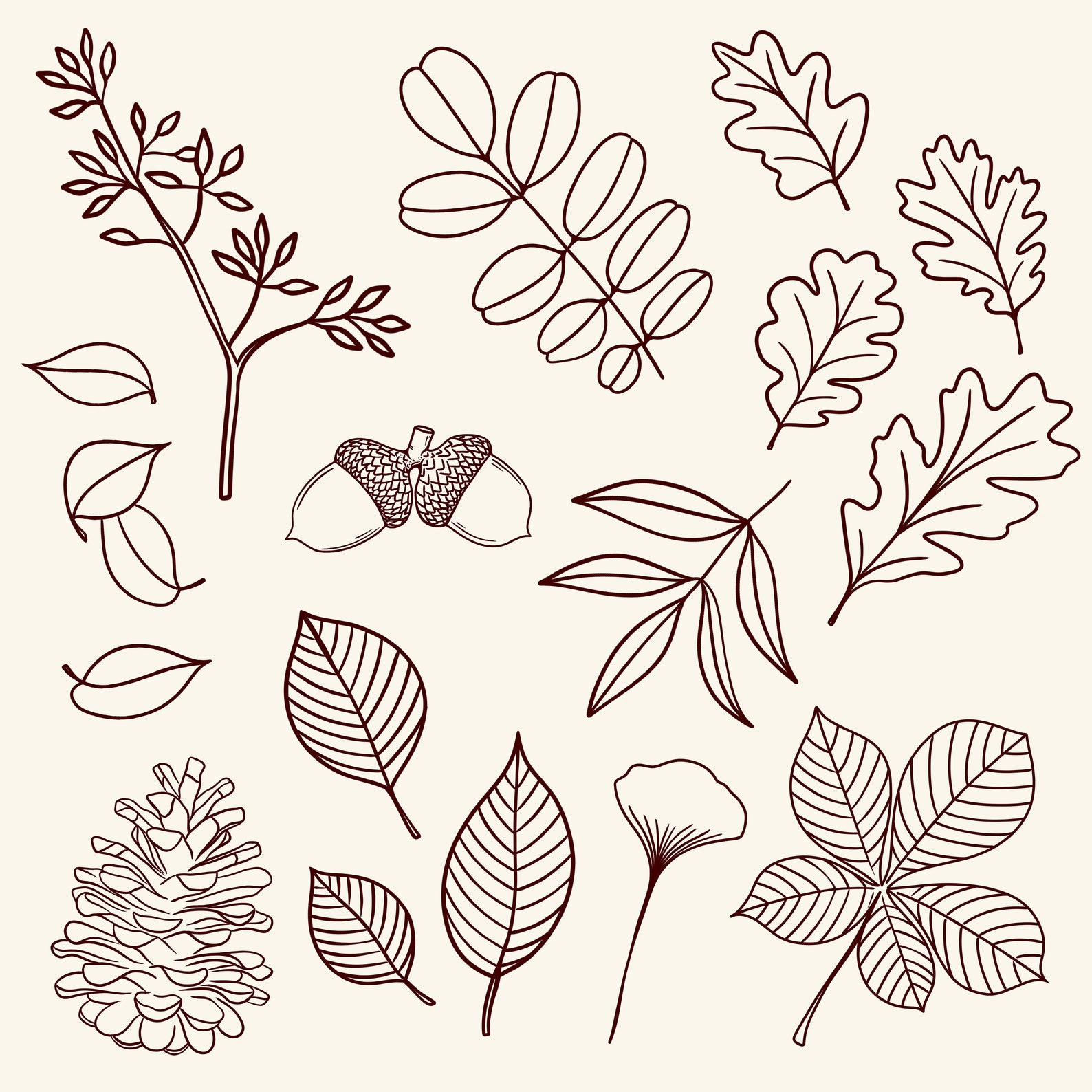 Autumn Illustrations Fall Harvest Line Drawings Clipart PNG Pumpkin ...