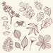 Autumn Illustrations Fall Harvest Line Drawings Clipart PNG Pumpkin ...