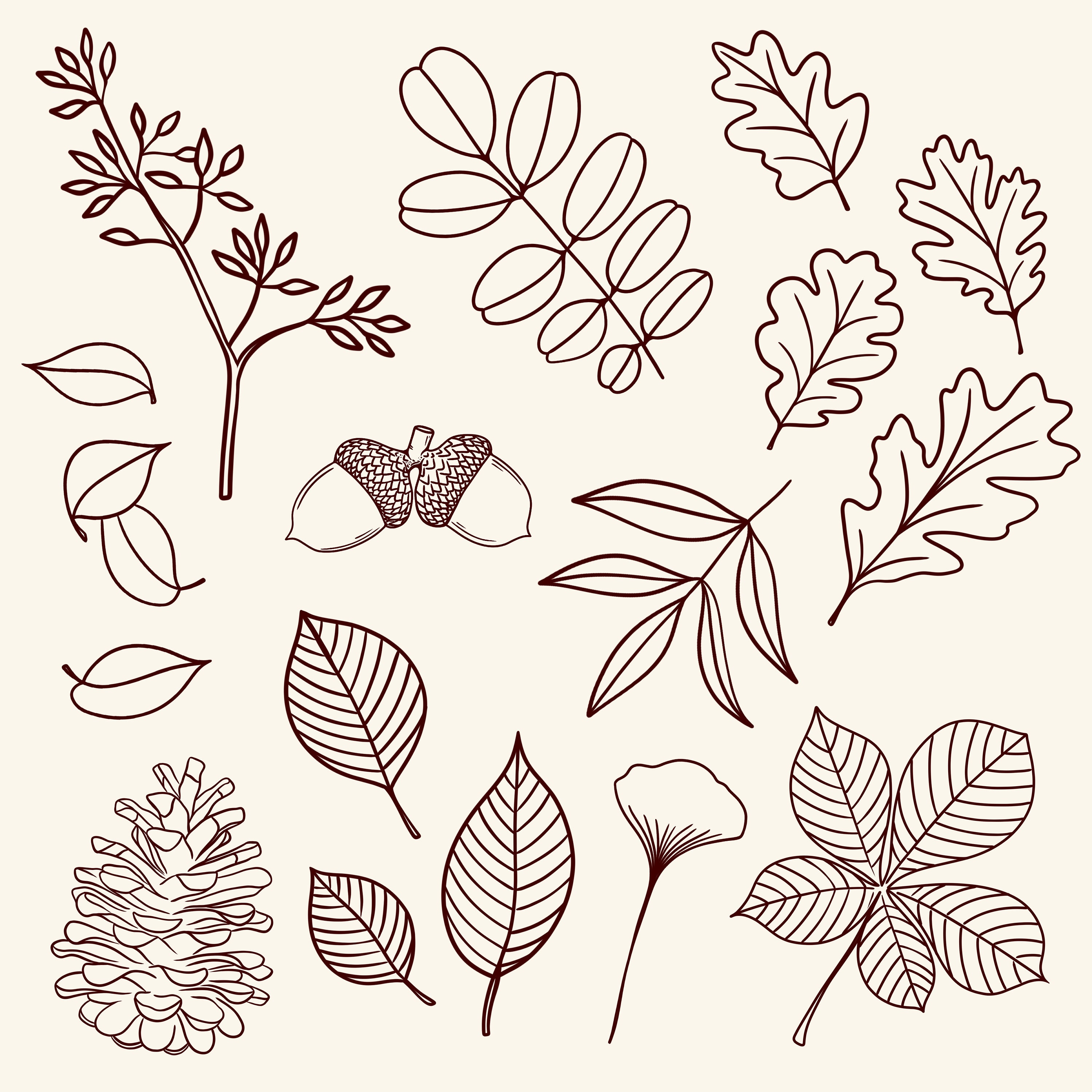 Autumn Illustrations Fall Harvest Line Drawings Clipart PNG Pumpkin ...