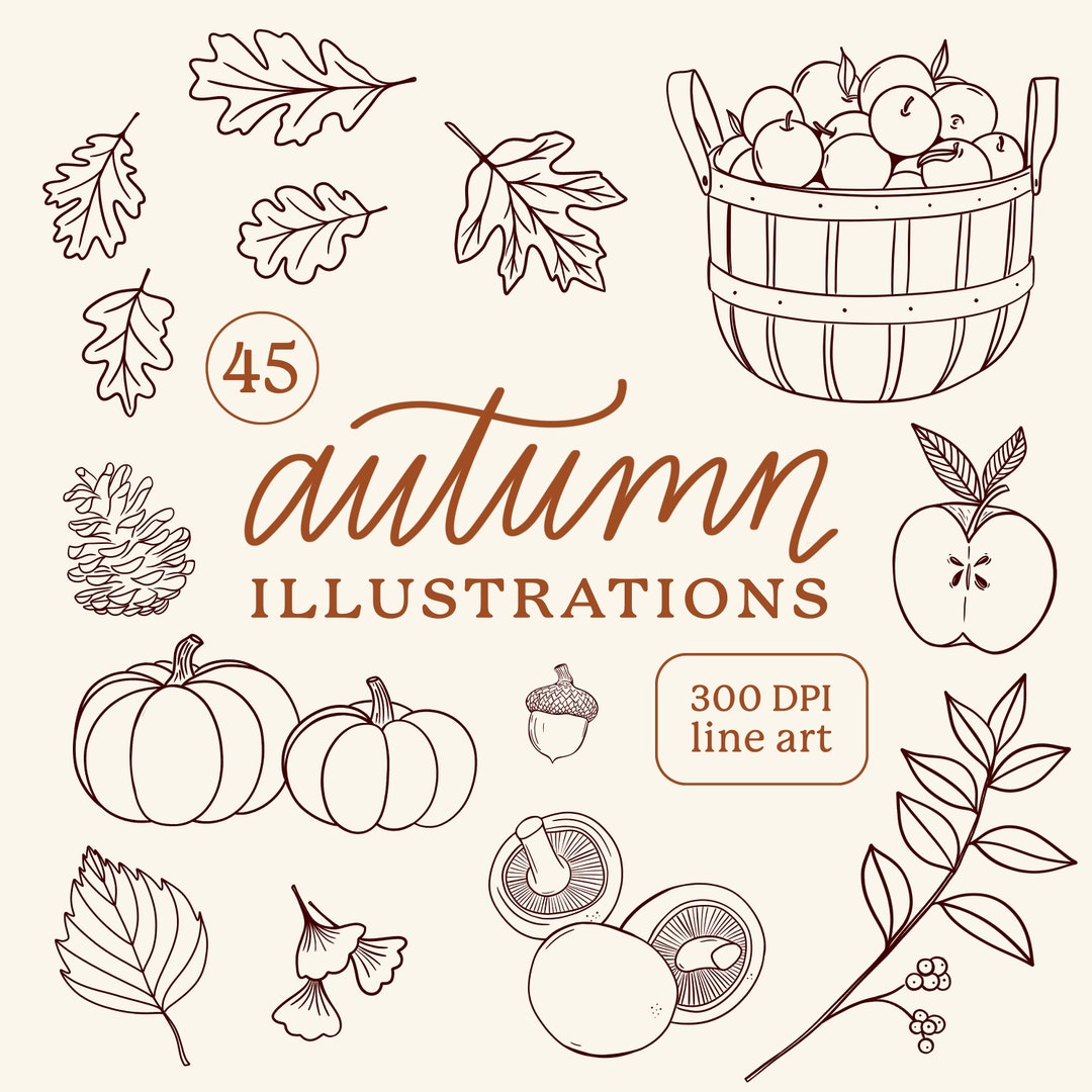 Autumn Illustrations Fall Harvest Line Drawings Clipart PNG Pumpkin ...
