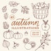 Autumn Illustrations Fall Harvest Line Drawings Clipart PNG Pumpkin ...