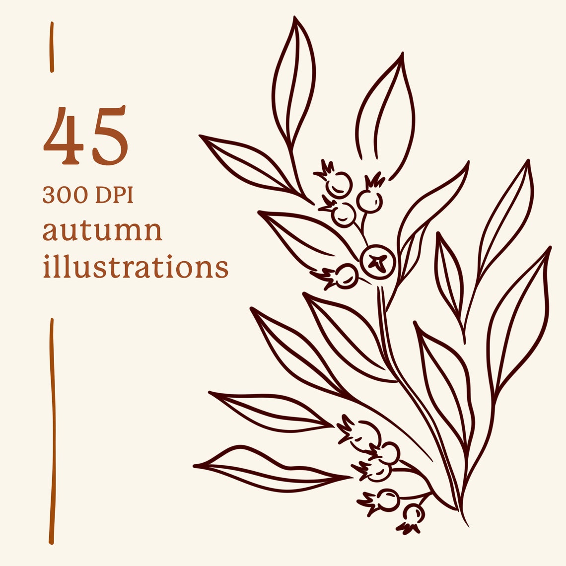 Autumn Illustrations Fall Harvest Line Drawings Clipart PNG Pumpkin ...