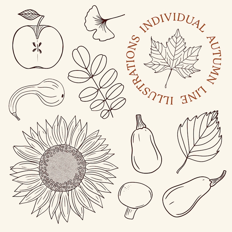 Autumn Illustrations Fall Harvest Line Drawings Clipart PNG Pumpkin ...
