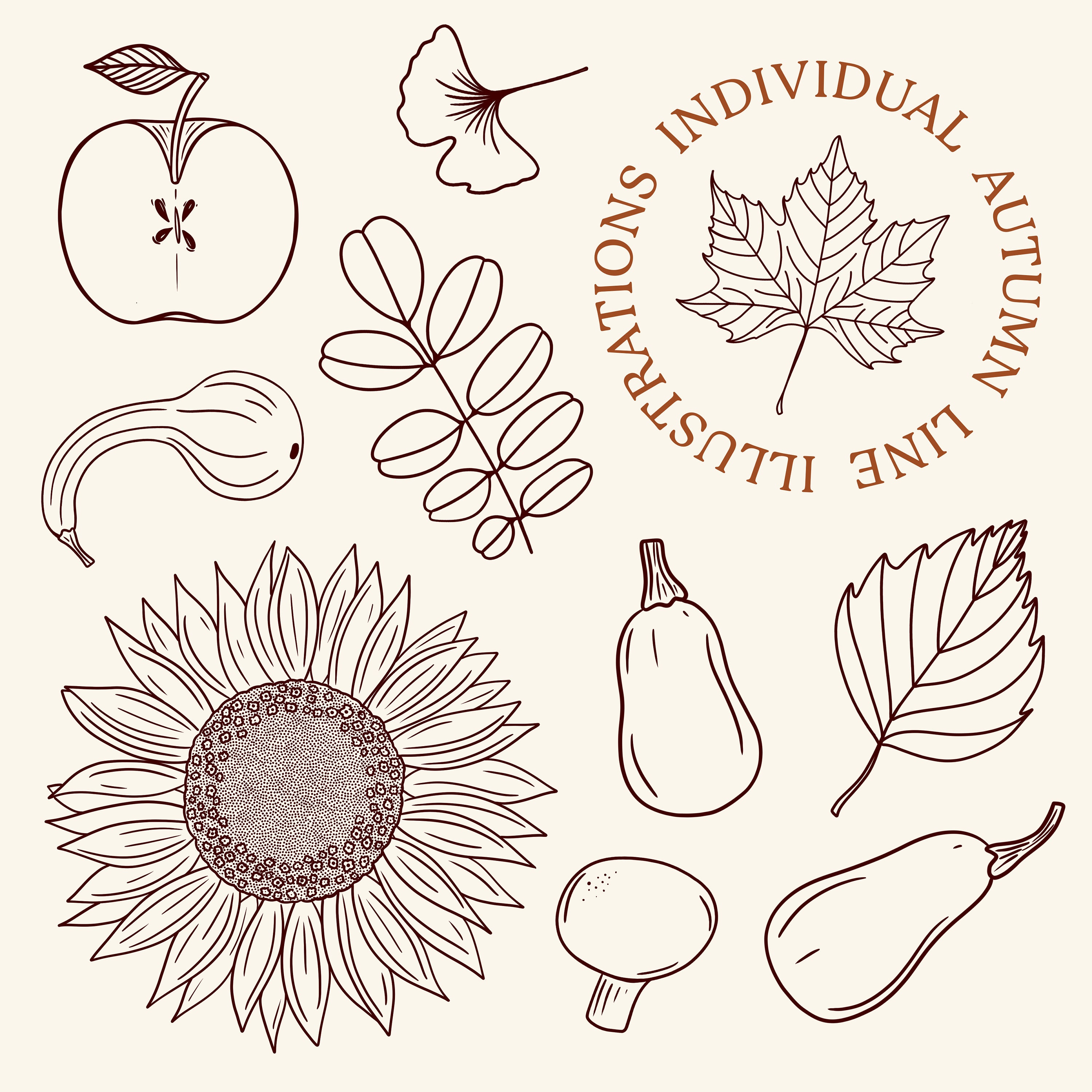 Autumn Illustrations Fall Harvest Line Drawings Clipart PNG Pumpkin ...