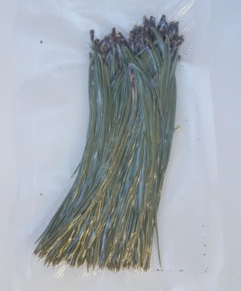 1 Lb Package - Ponderosa Pine Needles (leaves) - Etsy