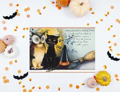 Black Cat and Owl. Vintage Halloween Card. Weirdcore and Goblincore ...