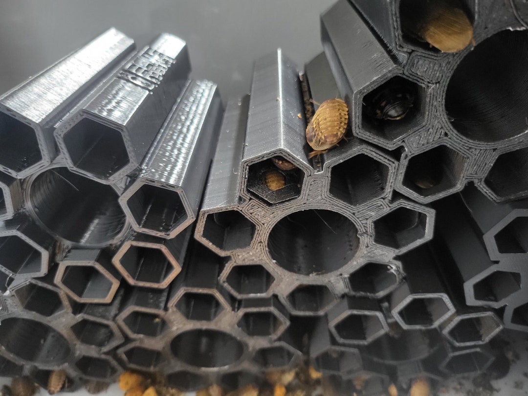 Dubia Roach Breeding Pods - Etsy