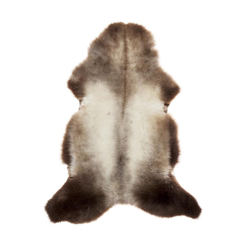 Wolf Skin Rug - Etsy