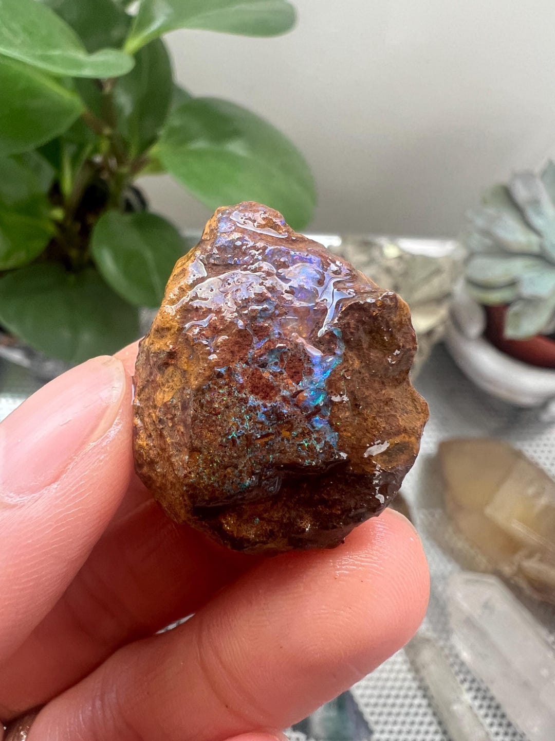 Boulder Opal Specimen, Natural Untreated Australian Opal, Australian ...