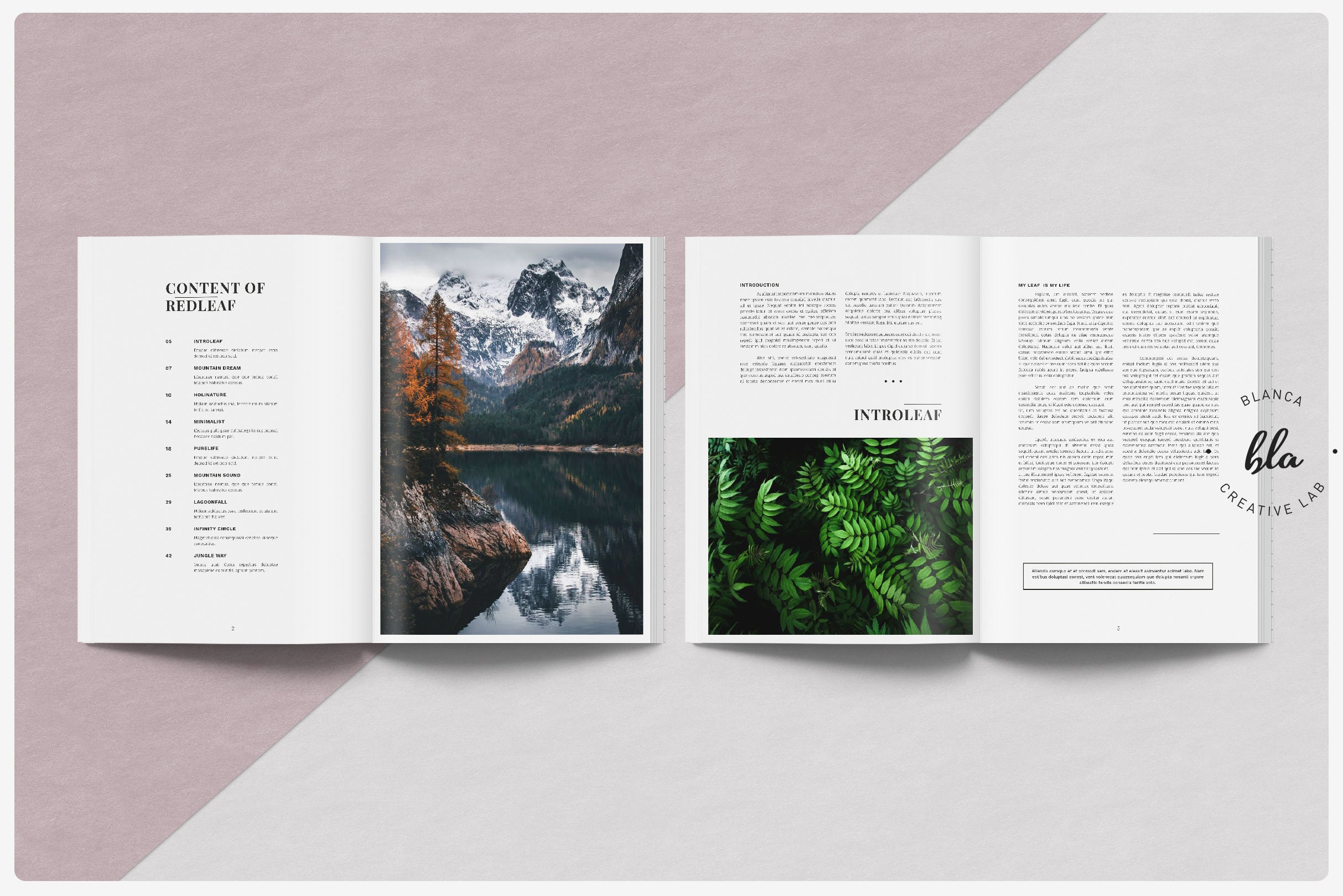 Redleaf Nature Magazine Template, Marketing Brochure for Indesign ...