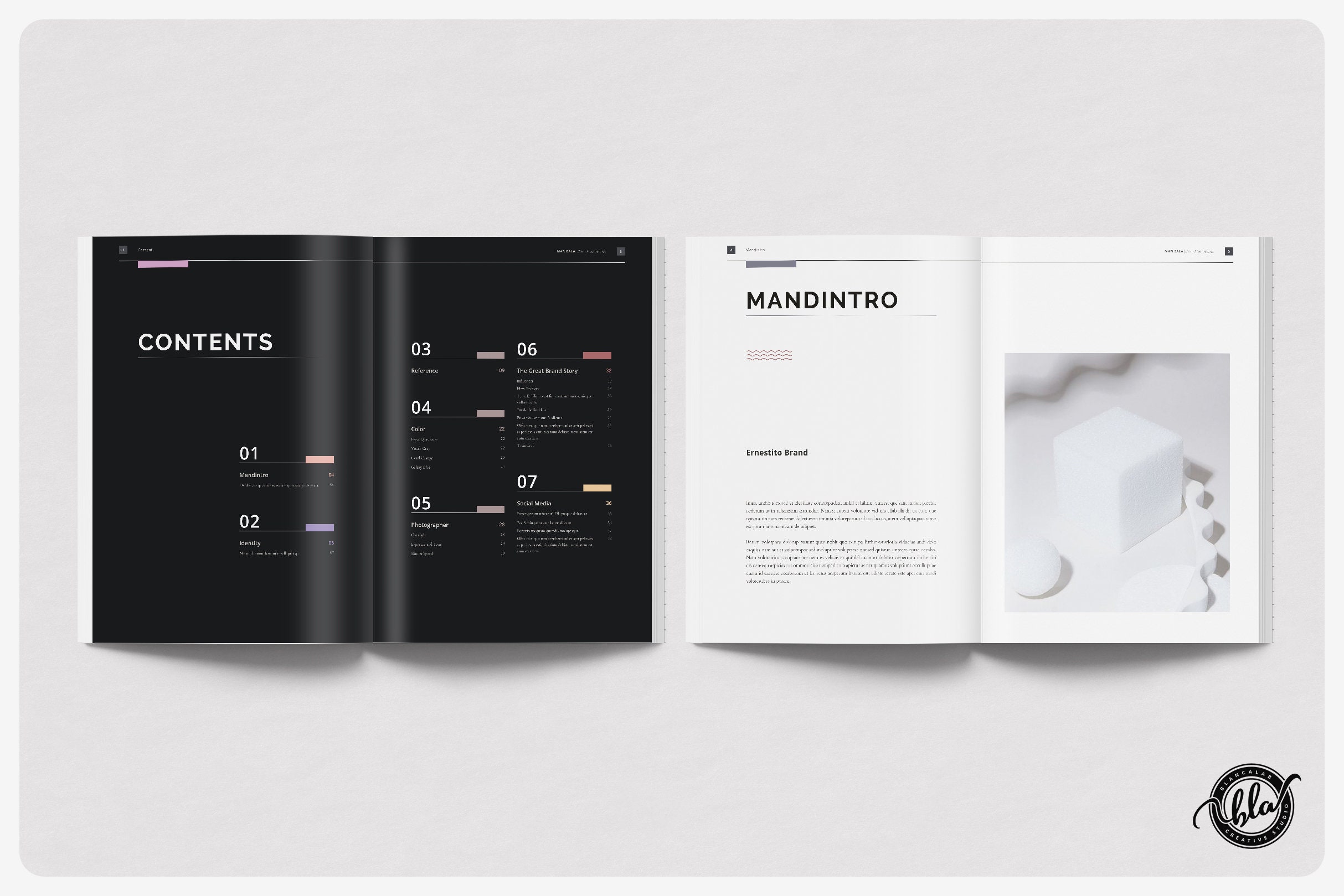 MANDALA Brand Manual & Guidelines Template, Product Brochure for ...