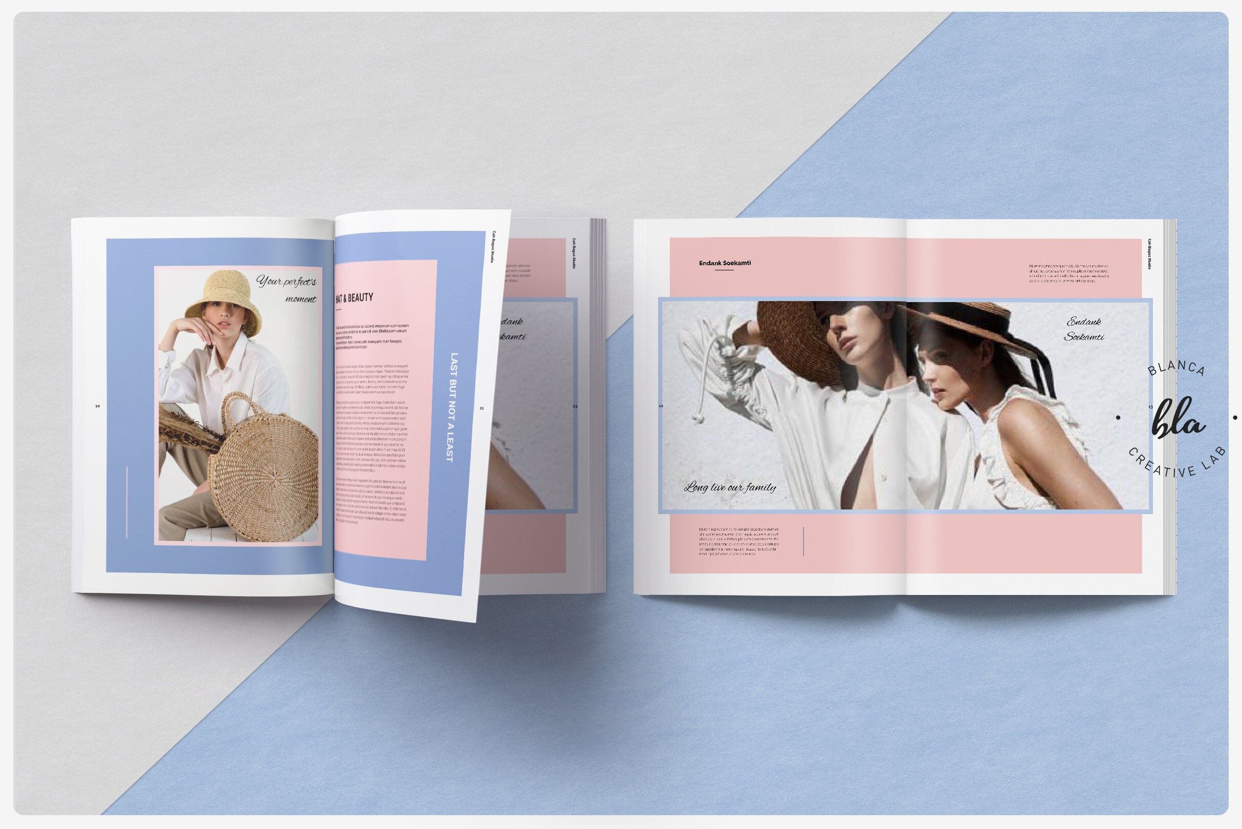 Venus Feminine Magazine Template, Marketing Brochure for Indesign ...