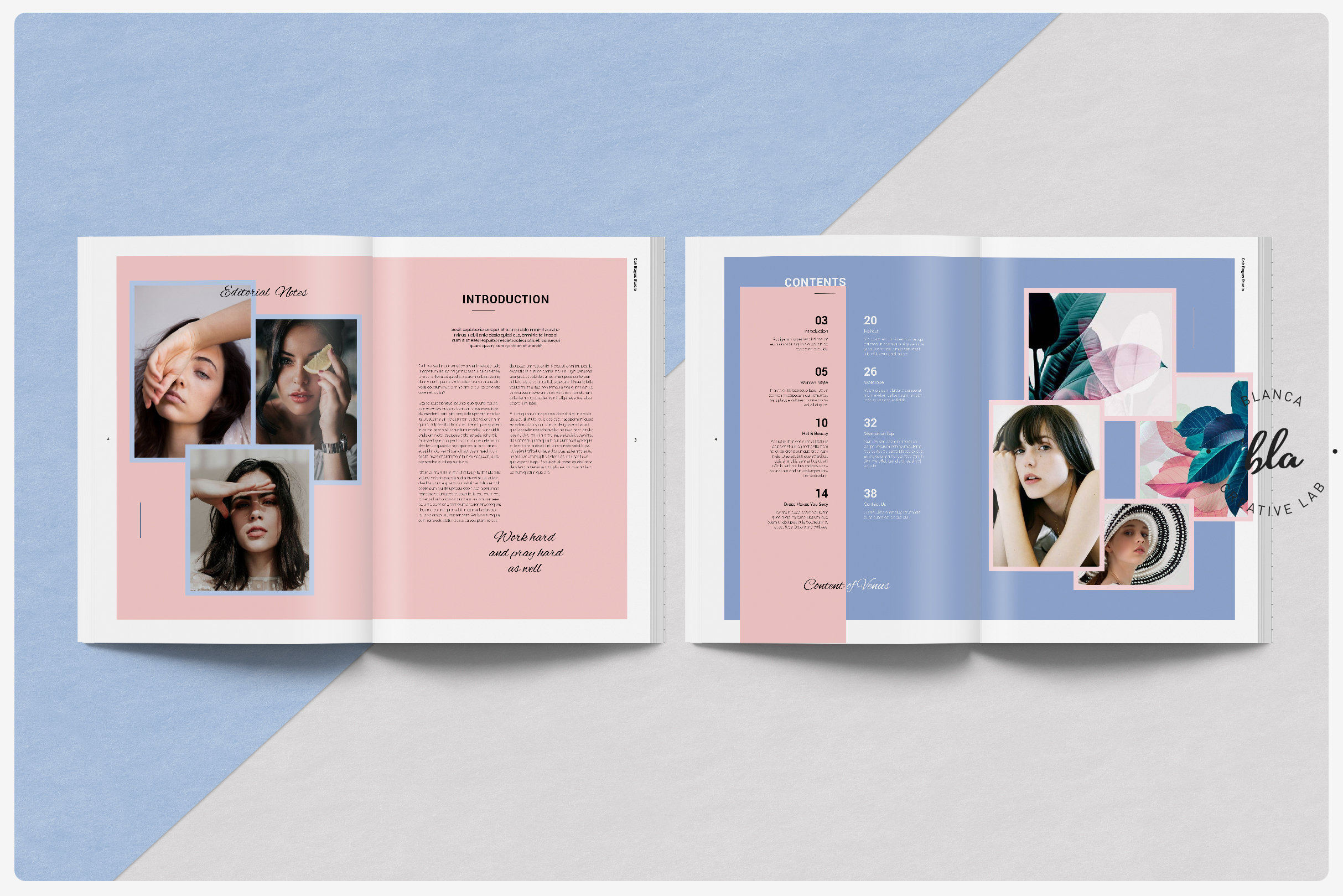 Venus Feminine Magazine Template, Marketing Brochure for Indesign ...