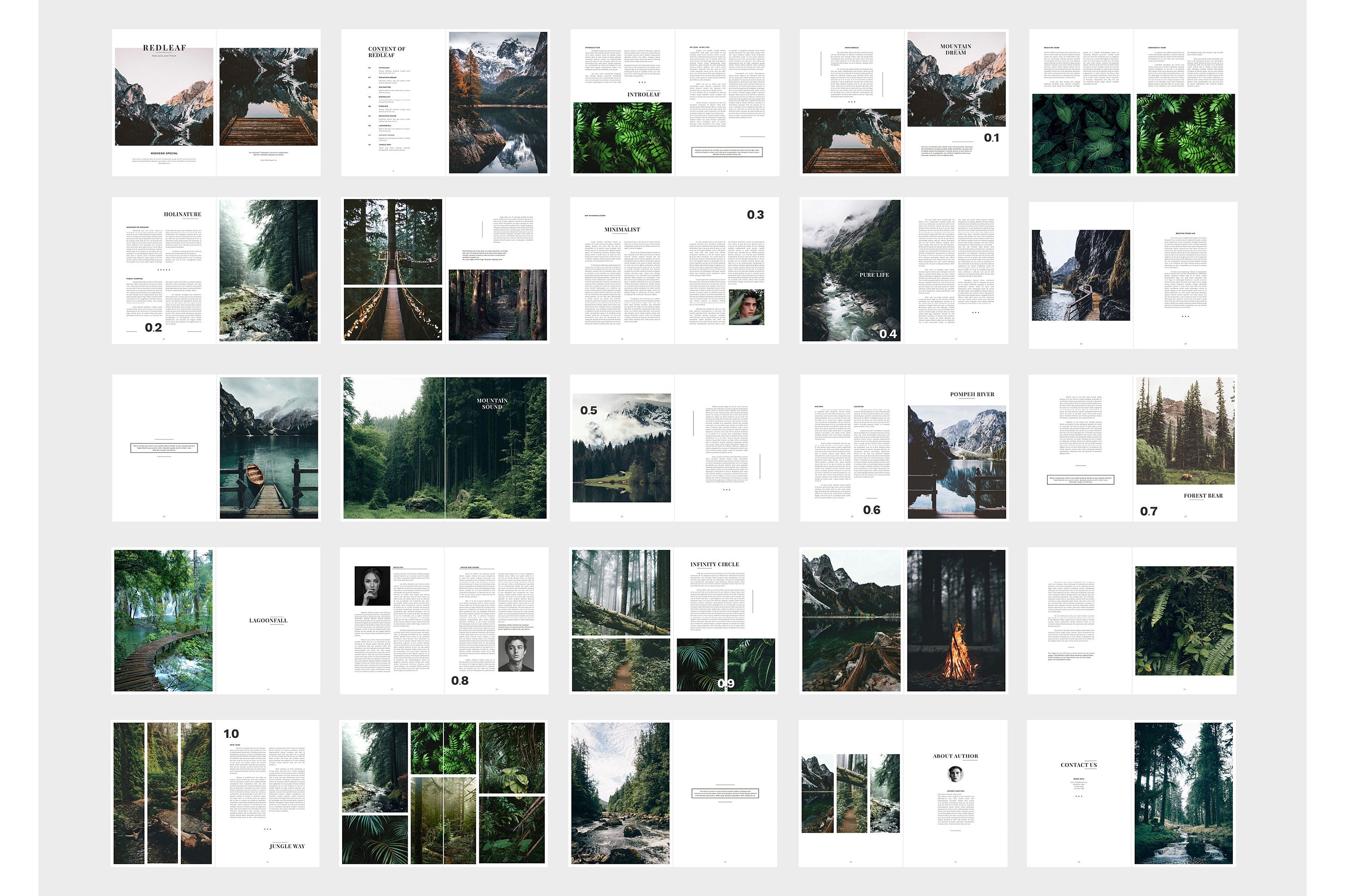 Redleaf Nature Magazine Template, Marketing Brochure for Indesign ...