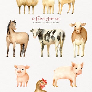 Farm Animals Watercolor Clipart PNG - Lamb, Sheep, Goat, Cows, Pigs ...
