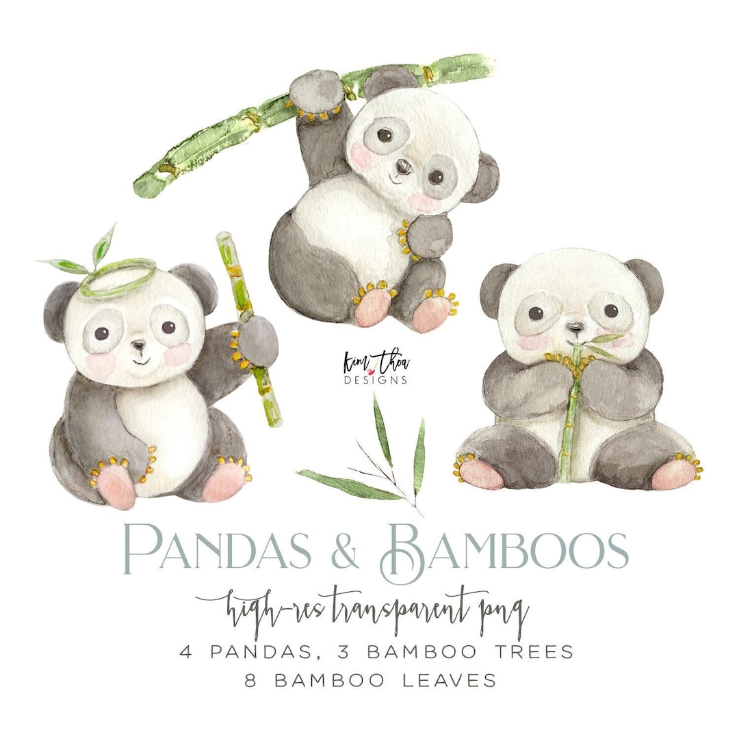 Panda and Bamboo Watercolor Clipart PNG | Cute Panda Clipart - Etsy