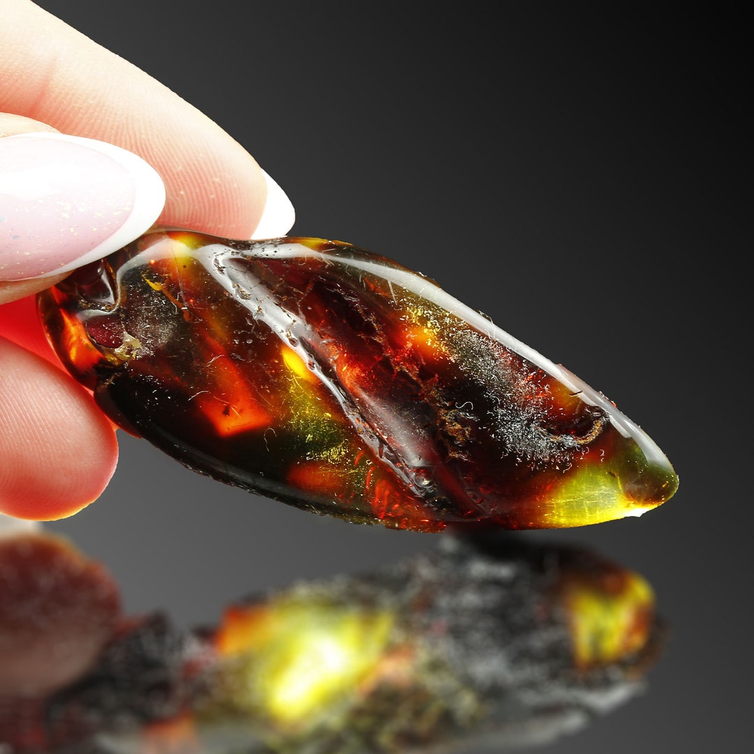 NATURAL Lithuanian Baltic Amber: Perfect Addition to Your Collection - Etsy