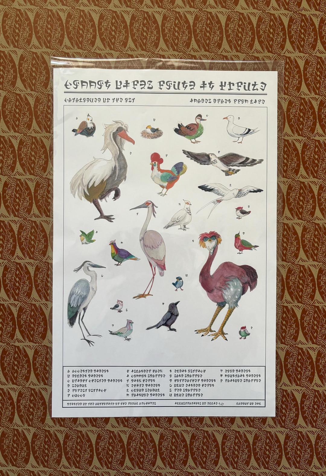 Birds of Hyrule Scientific Poster - Etsy
