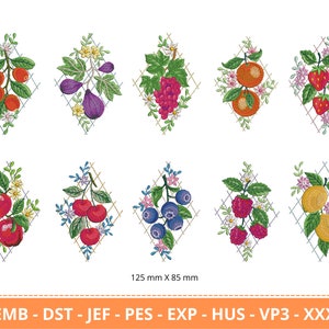 Fruits Embroidery Designs Set, Mango, Apple, Strawberry, Cherry, Grapes ...