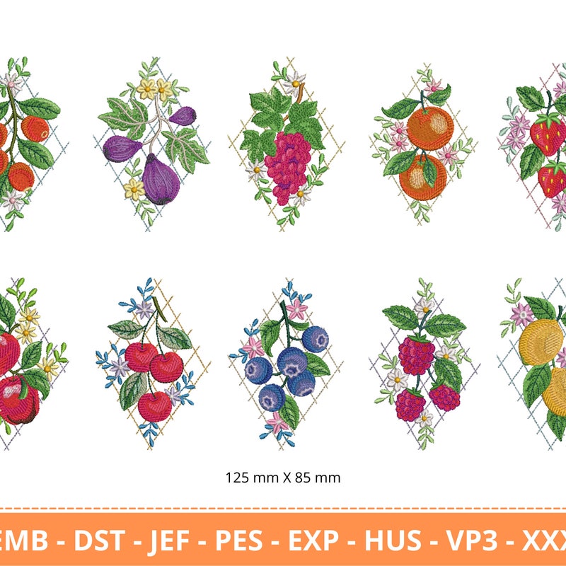 Fruit Embroidery Pattern - Etsy