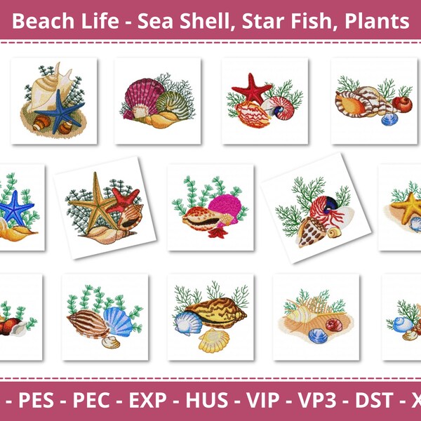 Sea Shells Machine Embroidery - Etsy