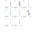 10 Embroidery Border Designs Bundle – 2 Sizes Digital Instant Download ...