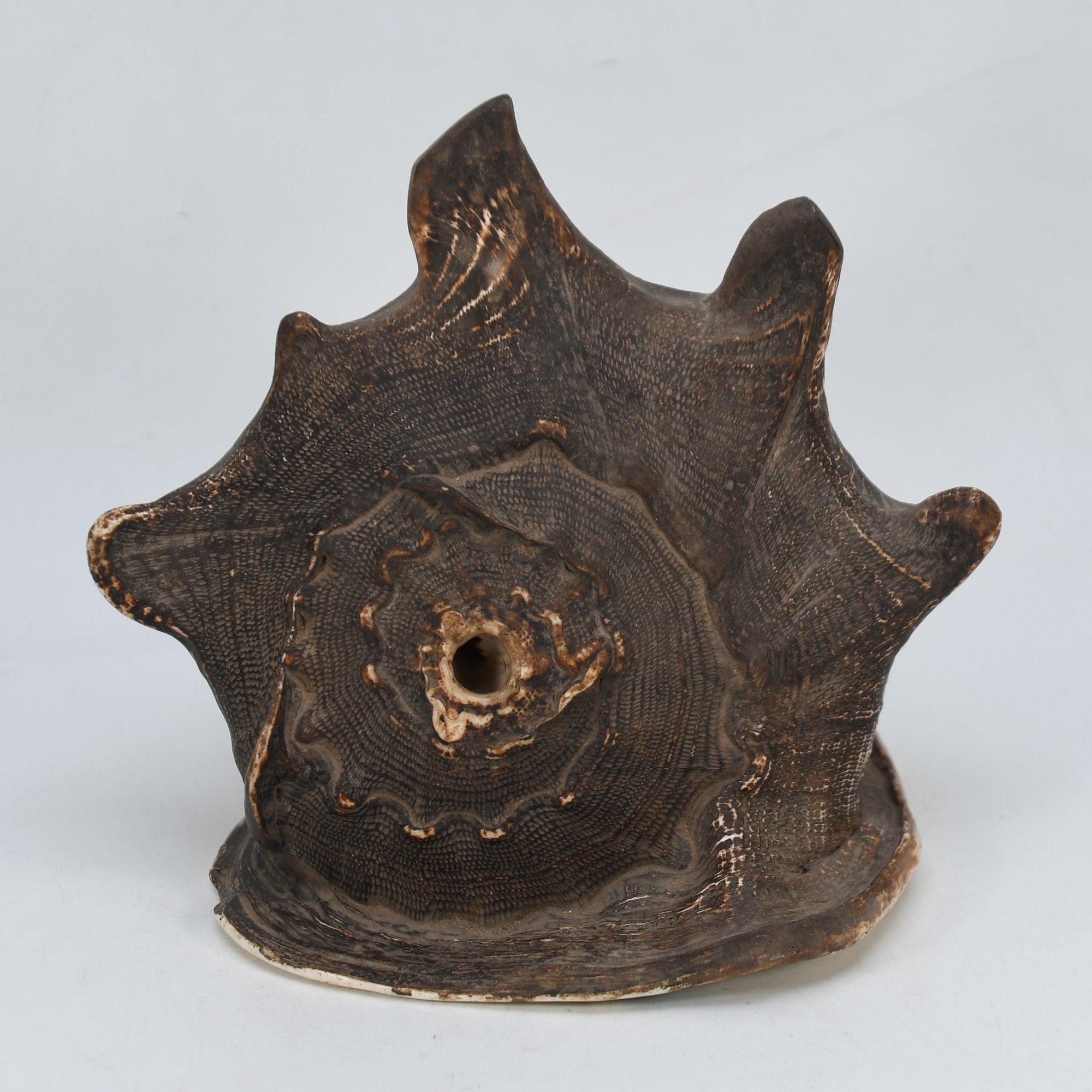 Natural Shankha Antique Sankha Conch Shell Natural Dhun Conch - Etsy UK