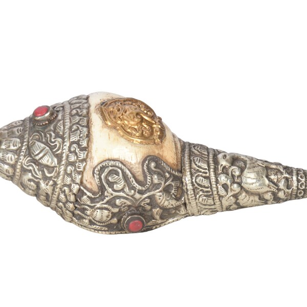Nepal Conch Shell - Etsy