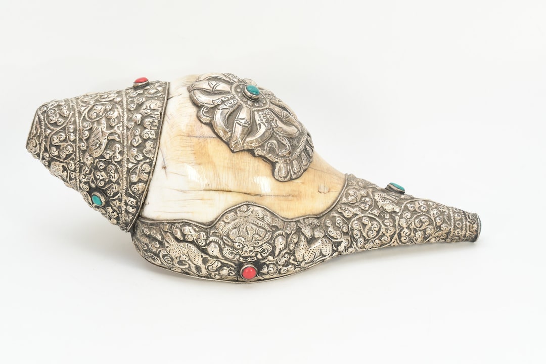 Tibetan Silver Carved Sankha Conch Shell Fine Quality Natural Dhun ...