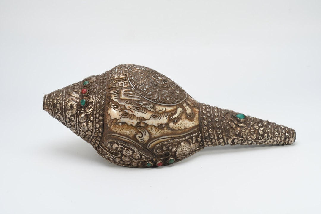 Handmade Bhairab Carved Conch Shell - Tibetan Buddhist Ashtamangala - Etsy