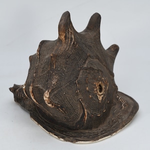 Natural Shankha Antique Sankha Conch Shell Natural Dhun Conch Sank ...