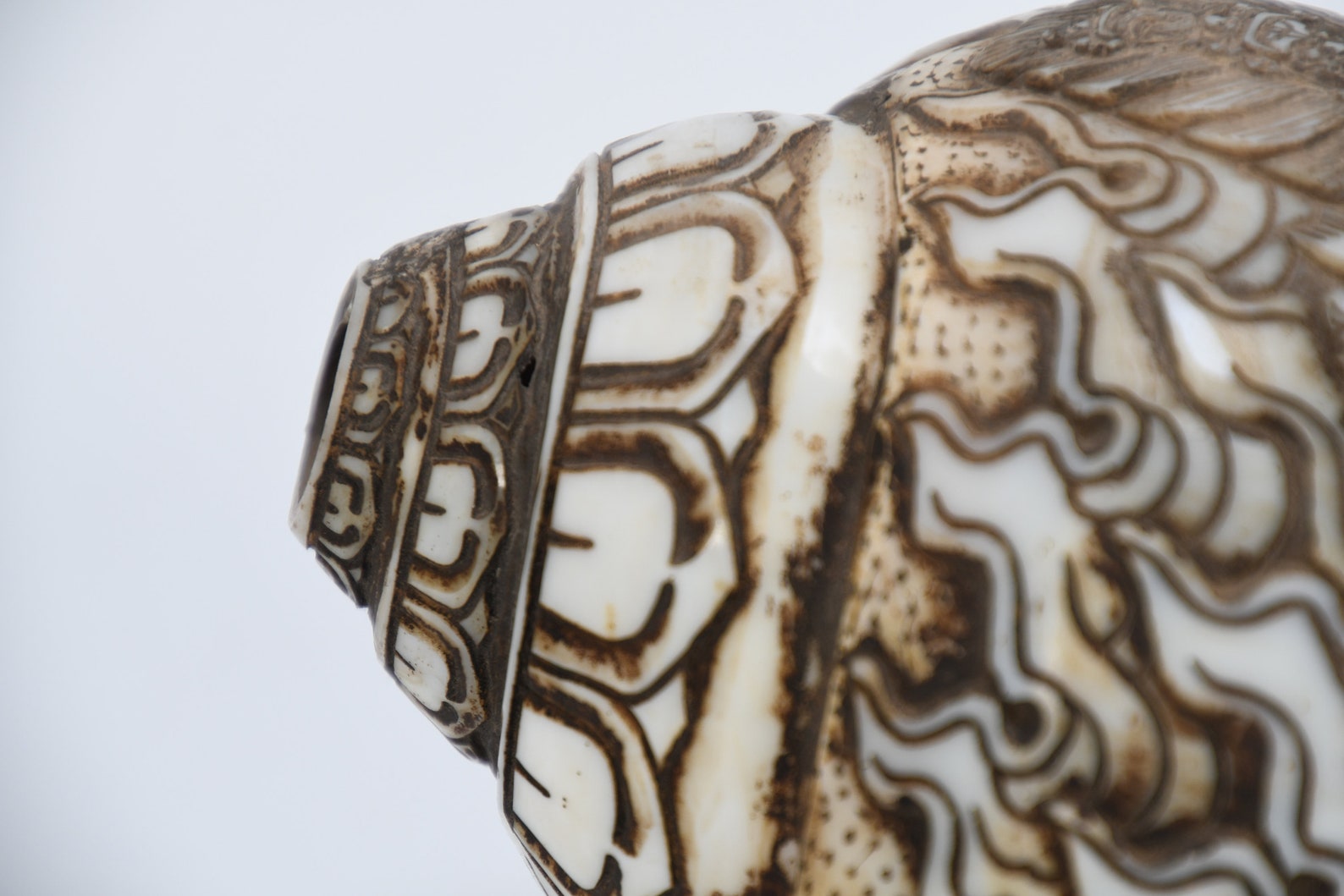 Buddhist Deity God Avalokiteshvara Carved Sankha Conch Shell Handmade ...
