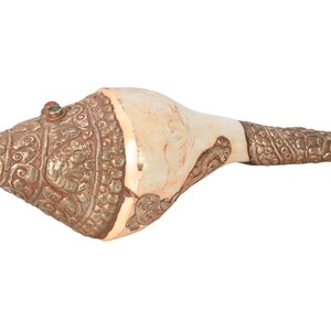 Authentic Tibetan Sankha Conch Shell: Handcrafted Antique Religious ...