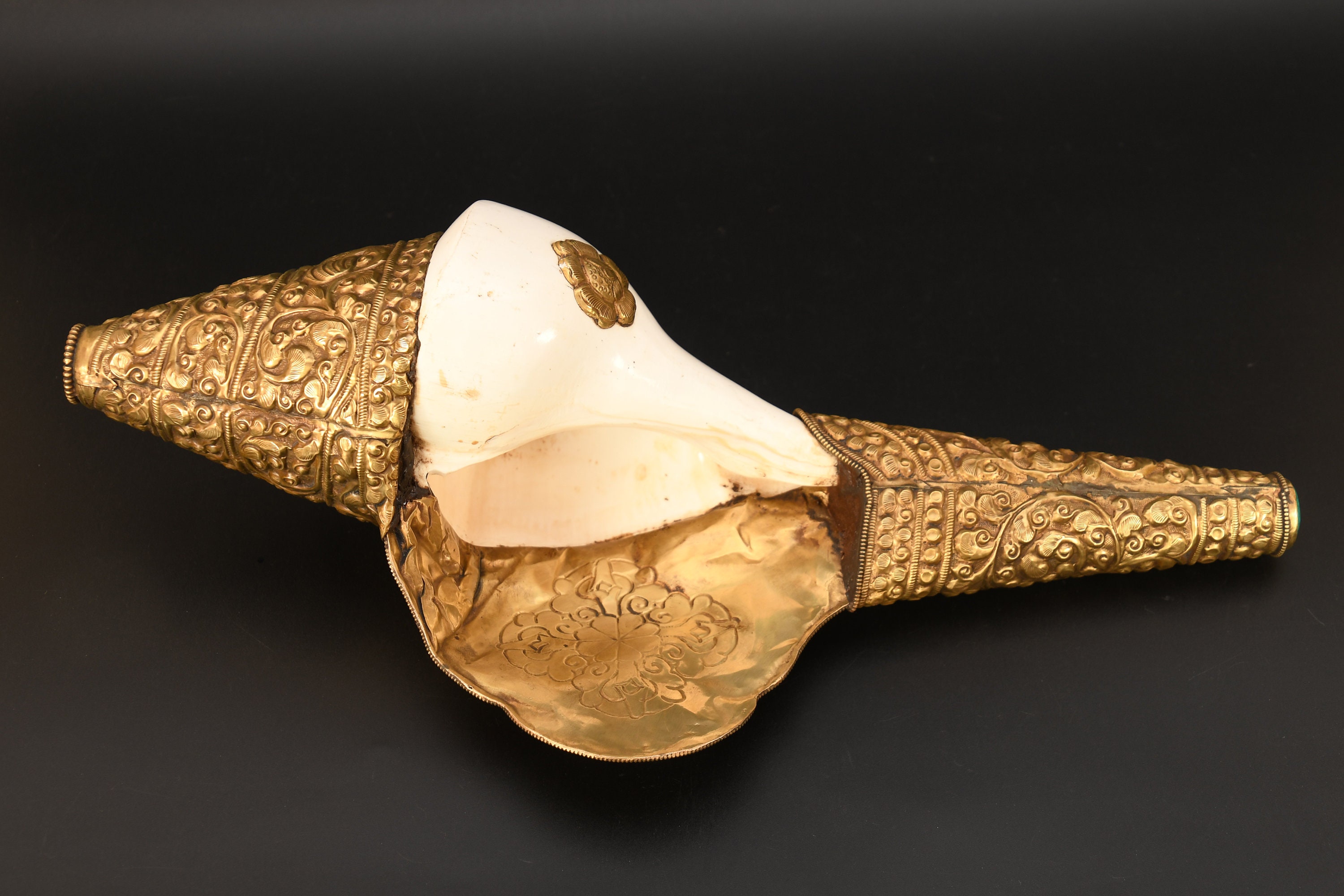 Conch Shell Shankh With Loud Echo Sound Sculptured Vishvarupa - Etsy