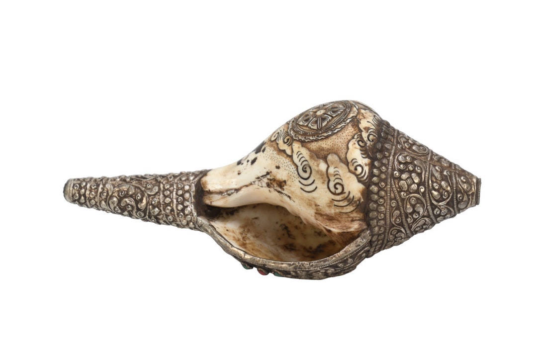 Bhairab Ashtamangala Carved Sankha Conch Shell Handmade Fine Quality ...