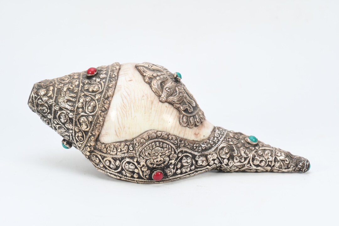 Carved Sankha Conch Shell, Tibetan Buddhist Decor (8.26 Inches) - Etsy