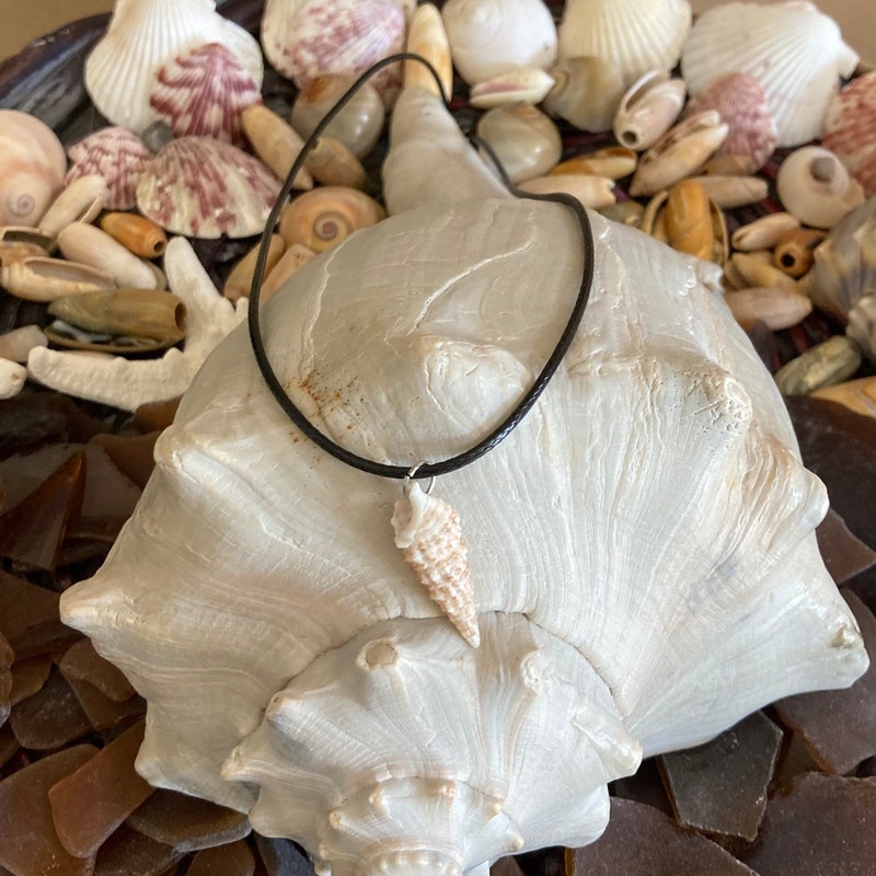Sea Shell Pendant - Etsy
