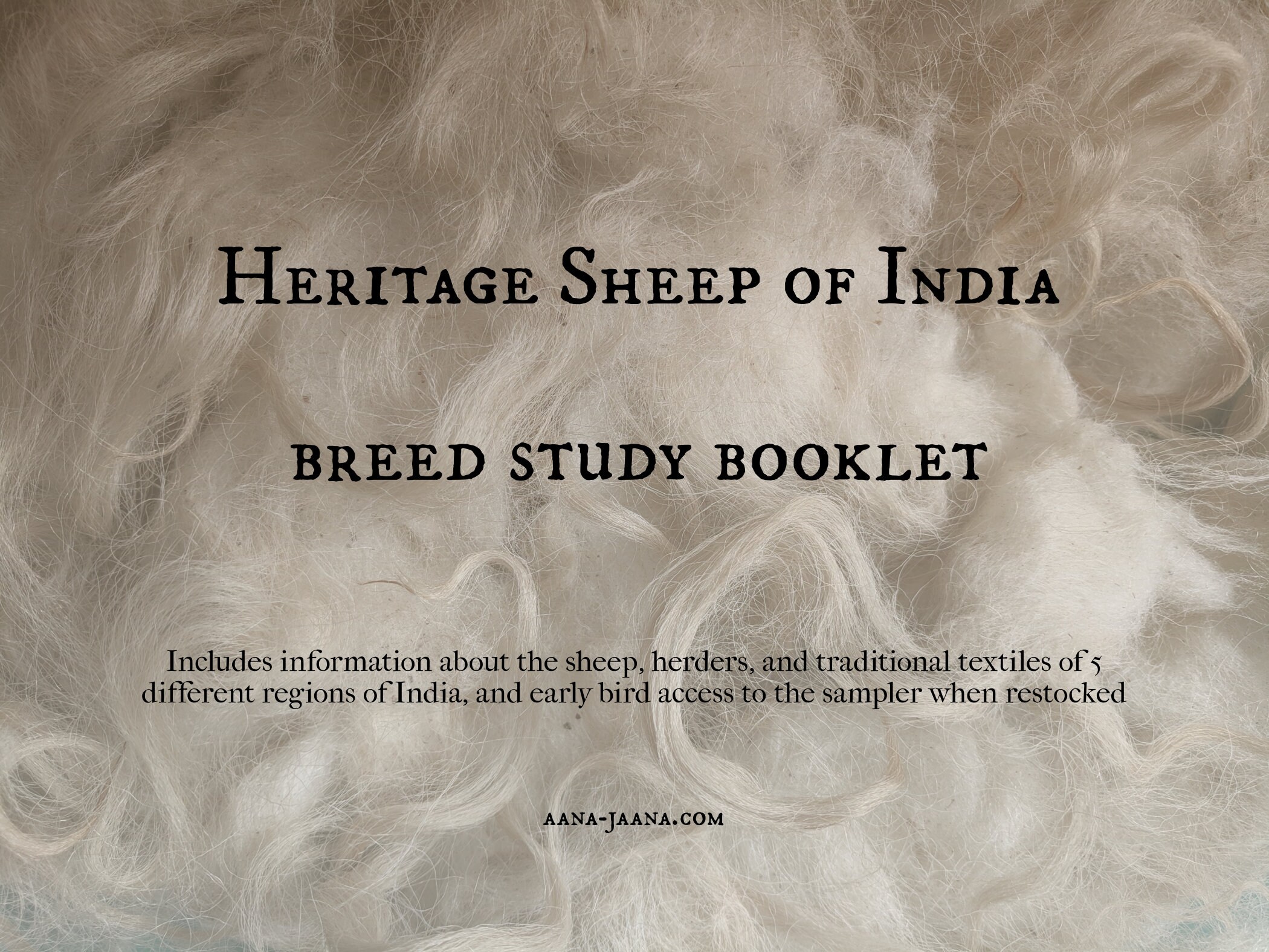 Heritage Sheep of India Rare Wool Breed Study Sampler Booklet - Etsy