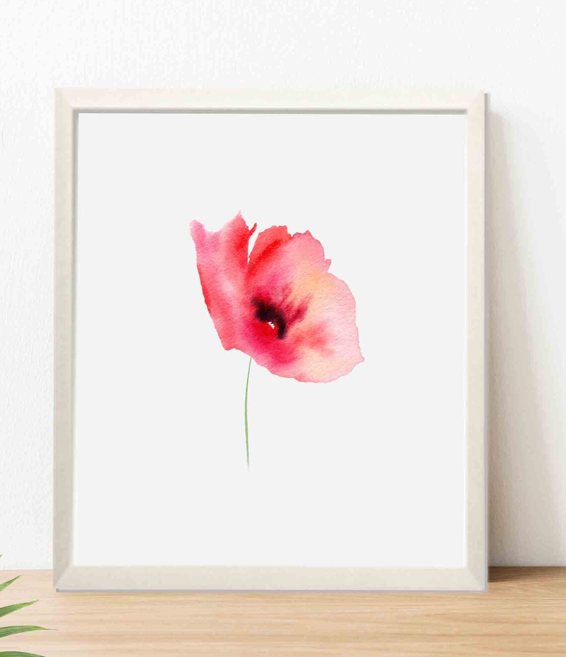 Single Beautiful Poppy, Fine Art Print © Aphrodite Art Prints - Etsy