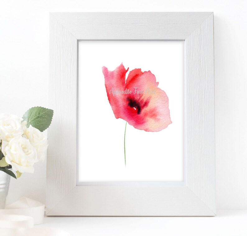 Single Beautiful Poppy, Fine Art Print © Aphrodite Art Prints - Etsy