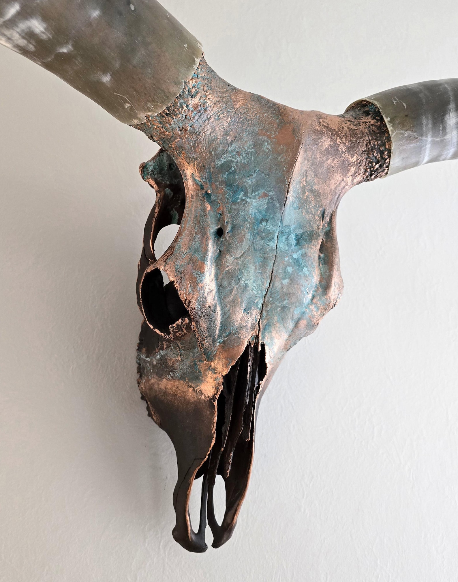 Longhorn Skull Wall Decor, Painted Cow Skull, Bohemian Style, Decorated ...