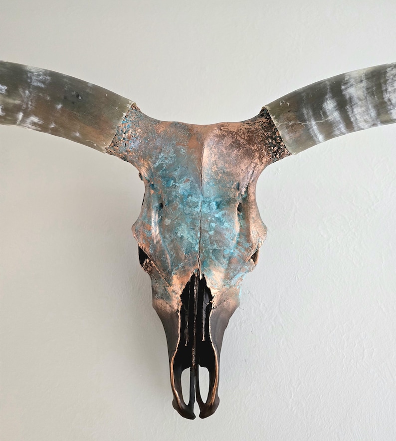 Longhorn Skull Wall Decor, Painted Cow Skull, Bohemian Style, Decorated ...