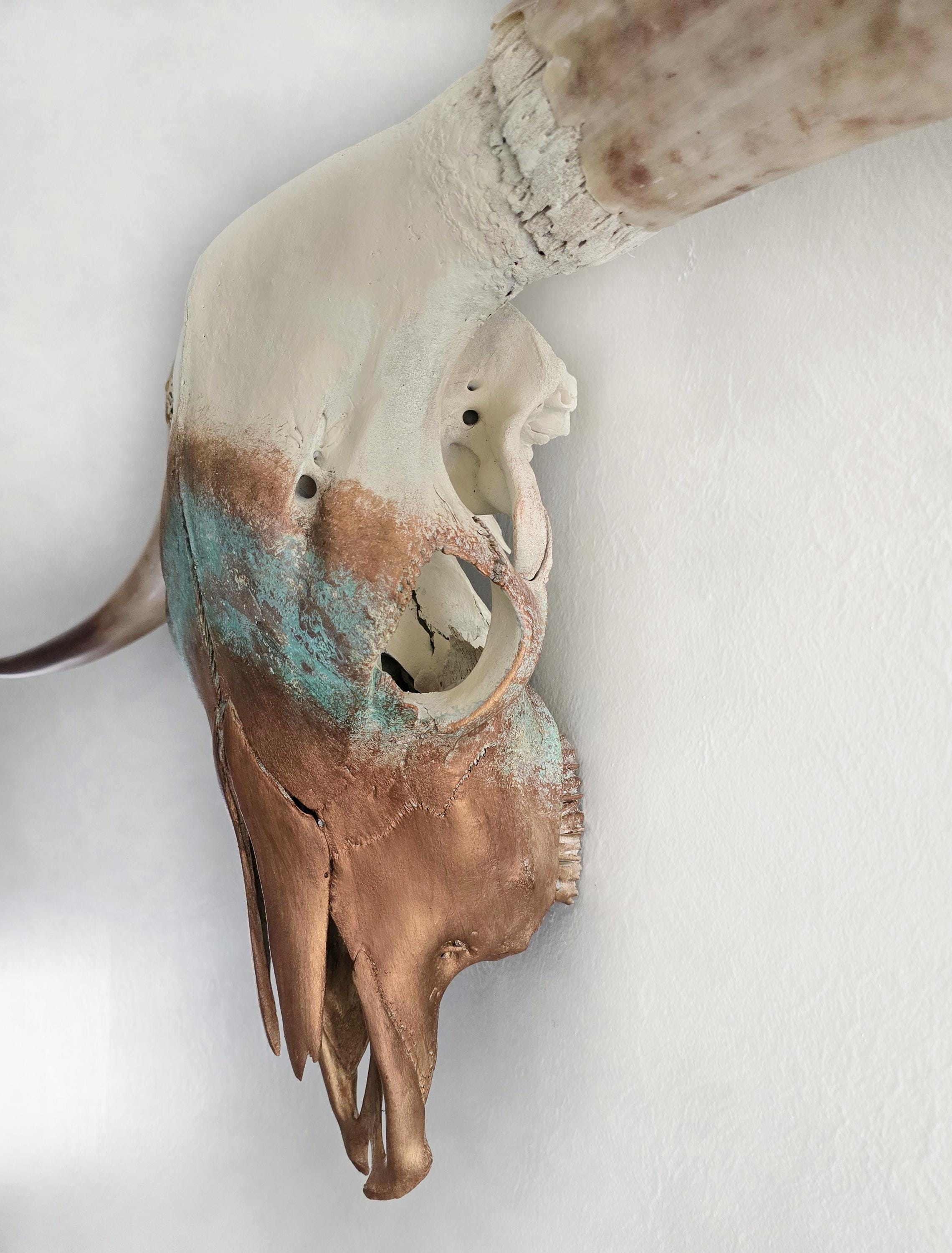 Longhorn Skull Wall Decor, Painted Cow Skull, Bohemian Style, Decorated ...