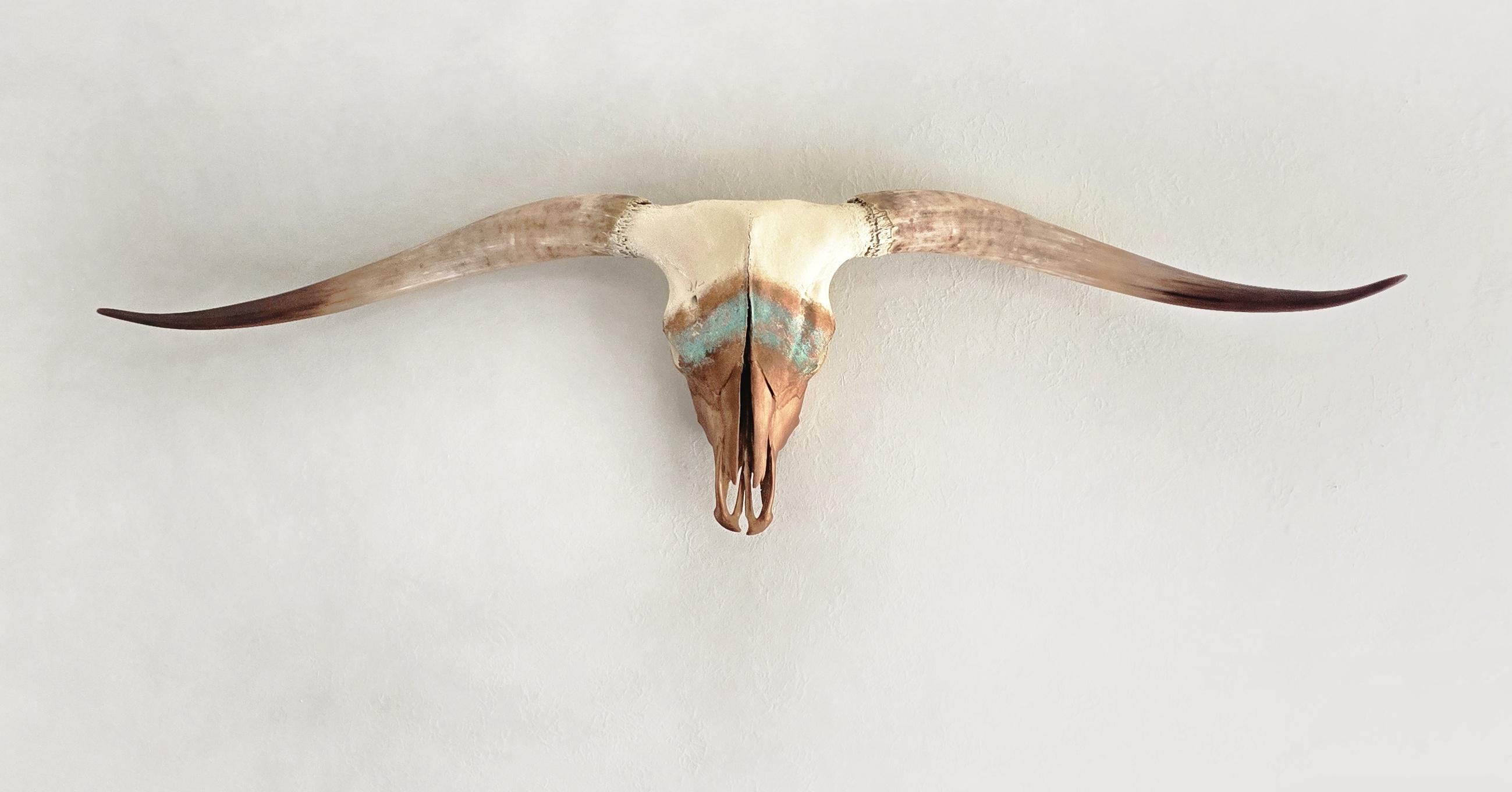 Longhorn Skull Wall Decor, Painted Cow Skull, Bohemian Style, Decorated ...