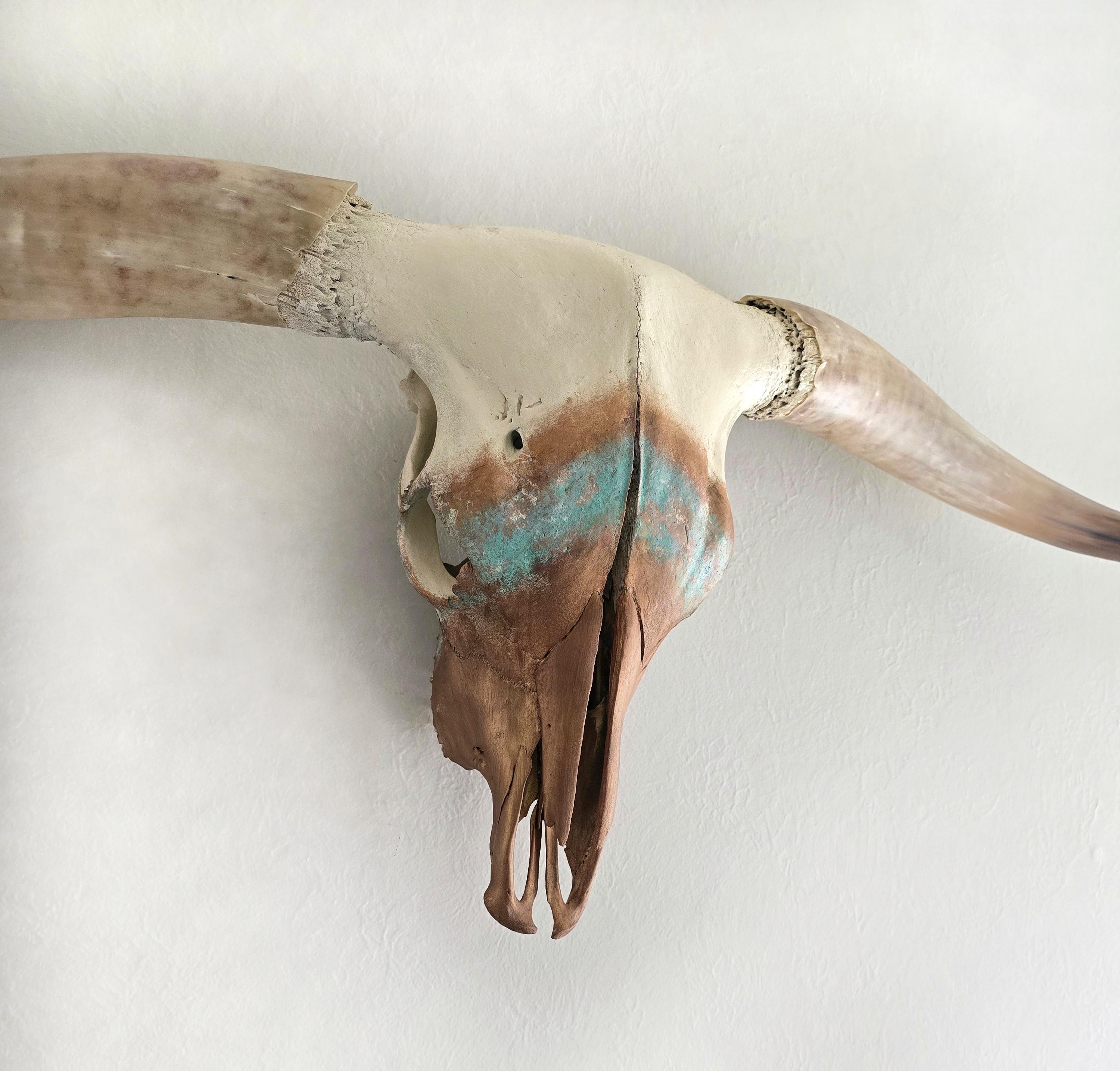 Longhorn Skull Wall Decor, Painted Cow Skull, Bohemian Style, Decorated ...