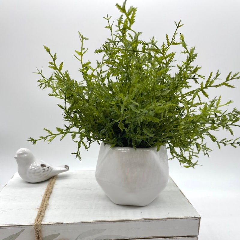 Small Fake Plants - Etsy