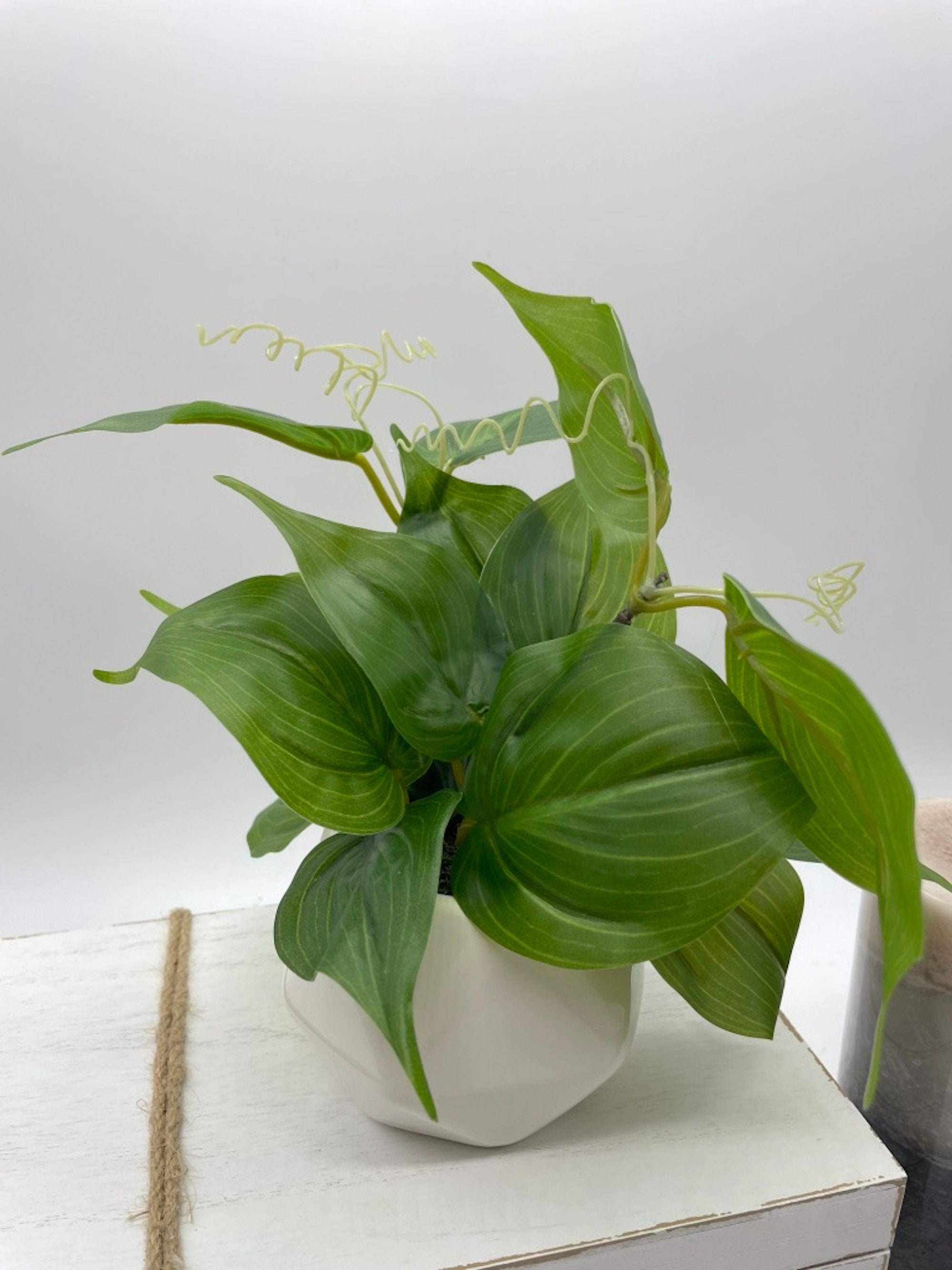 Fake Plant in Small Geometric Pot, Artificial Big Leaf Plant for Coffee ...