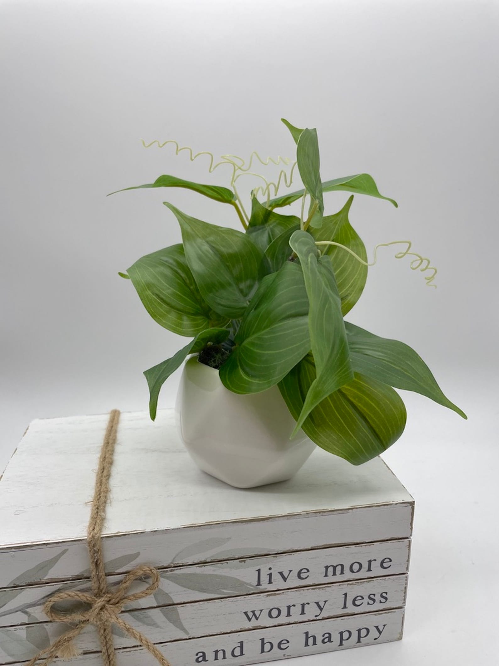 Fake Plant in Small Geometric Pot, Artificial Big Leaf Plant for Coffee ...